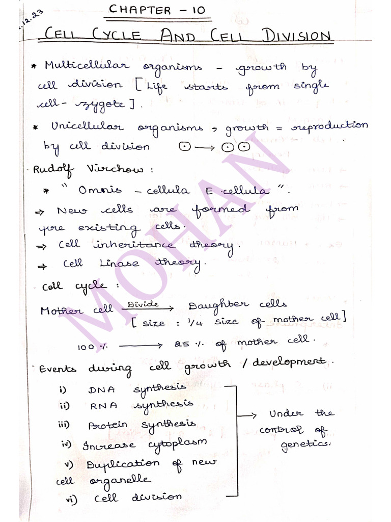 Cell Cycle Cell Division Notes | PDF