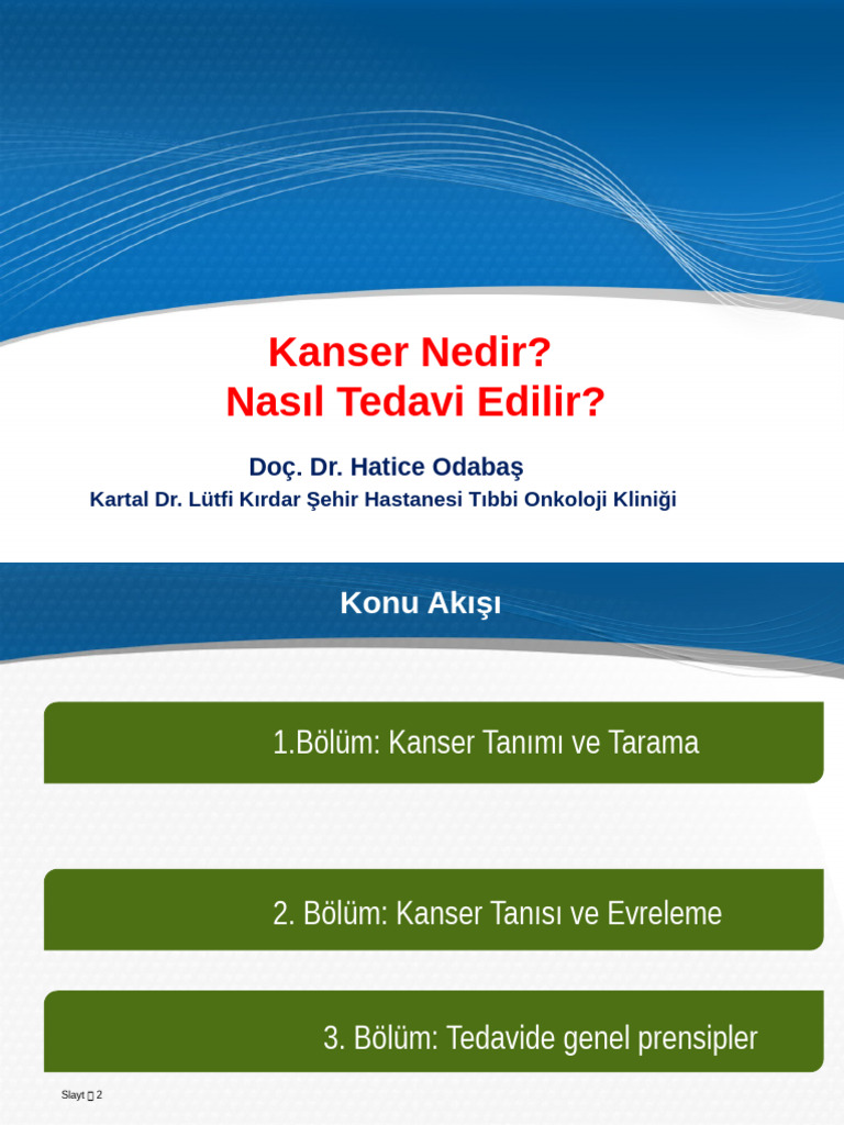 Kanser Nedir | PDF