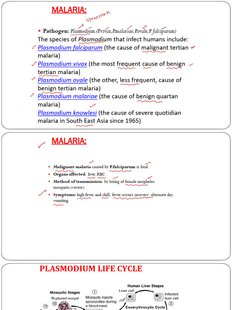 Understanding Malaria and Its Pathogens | PDF | Malaria | Plasmodium