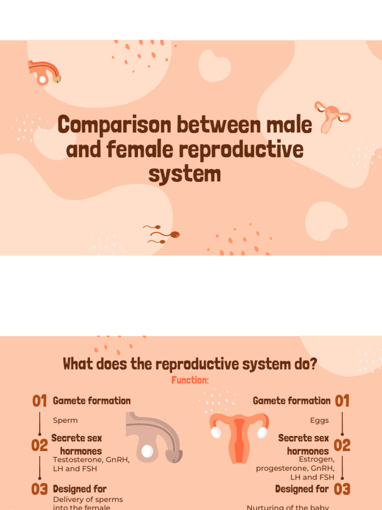 Comparison Between Male and Female Reproductive System | PDF ...