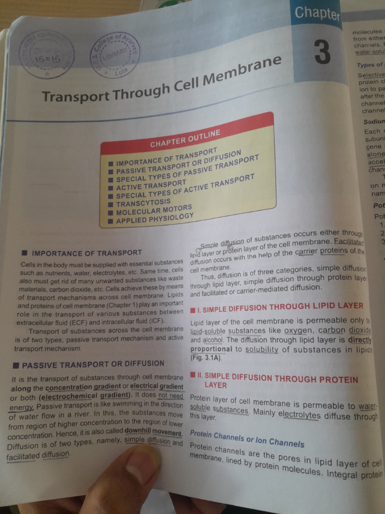 Transport Through Cell Membrane | PDF | Cell Membrane | Osmosis