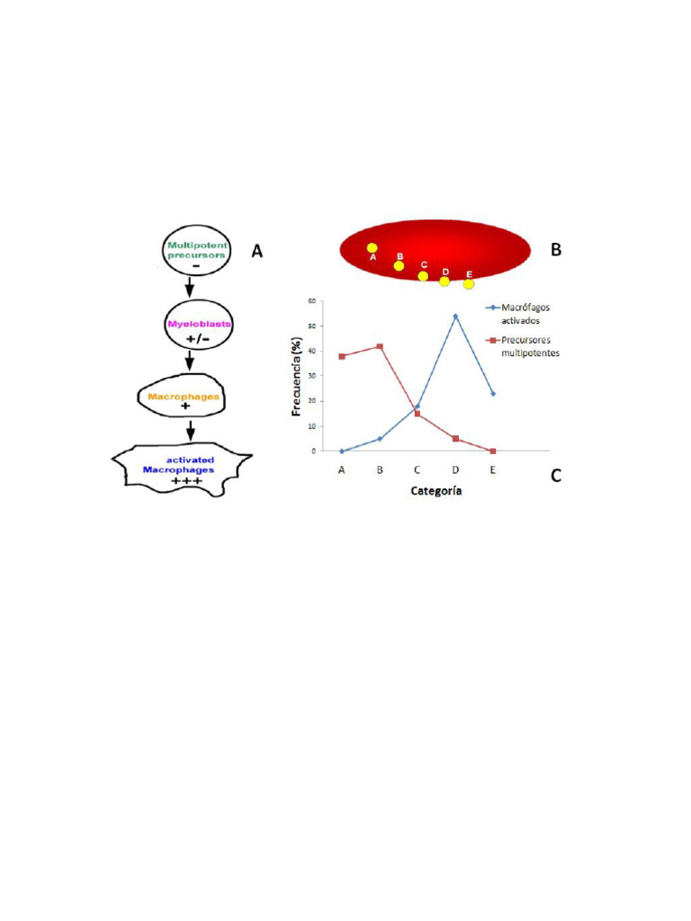 CP5 Regulación en Eucariontes | PDF | Gene | Messenger Rna