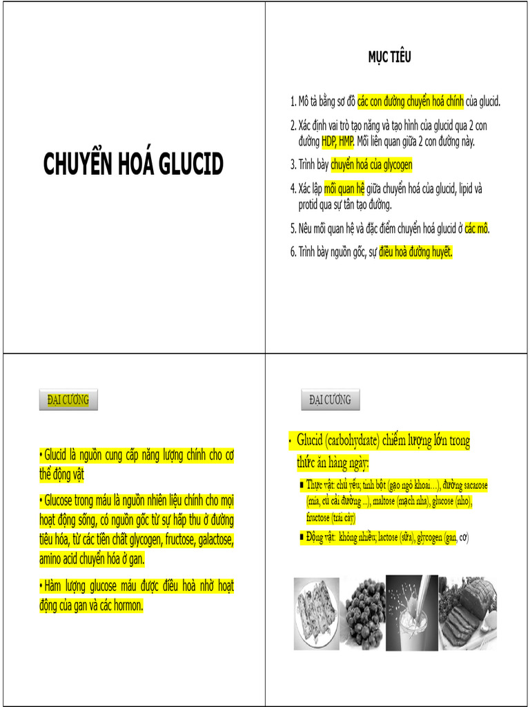 Chuyển Hóa Glucid Note | PDF