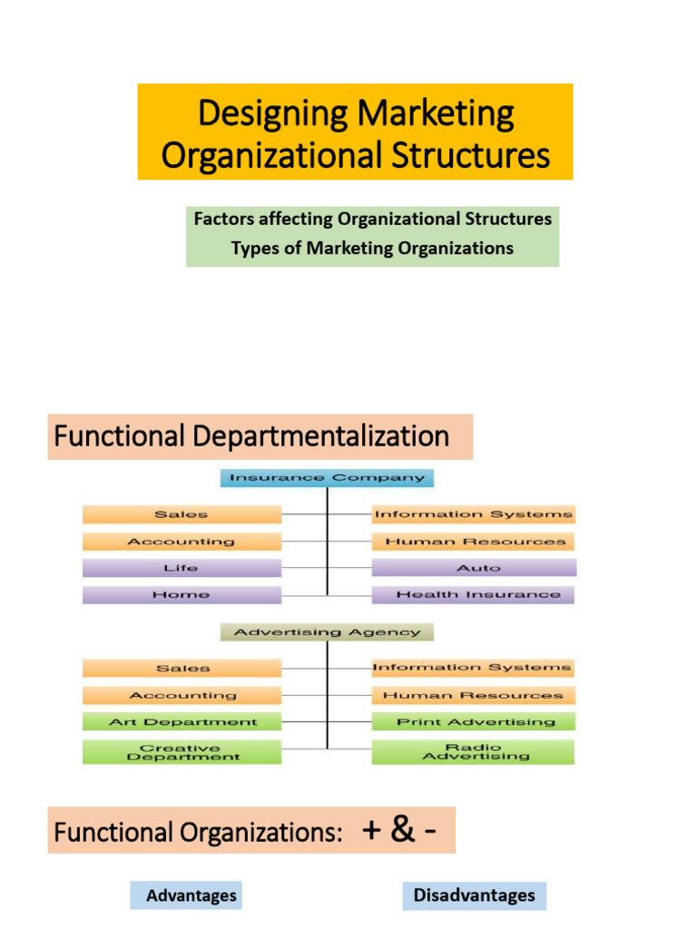 Marketing Organizational Structures Explained | PDF