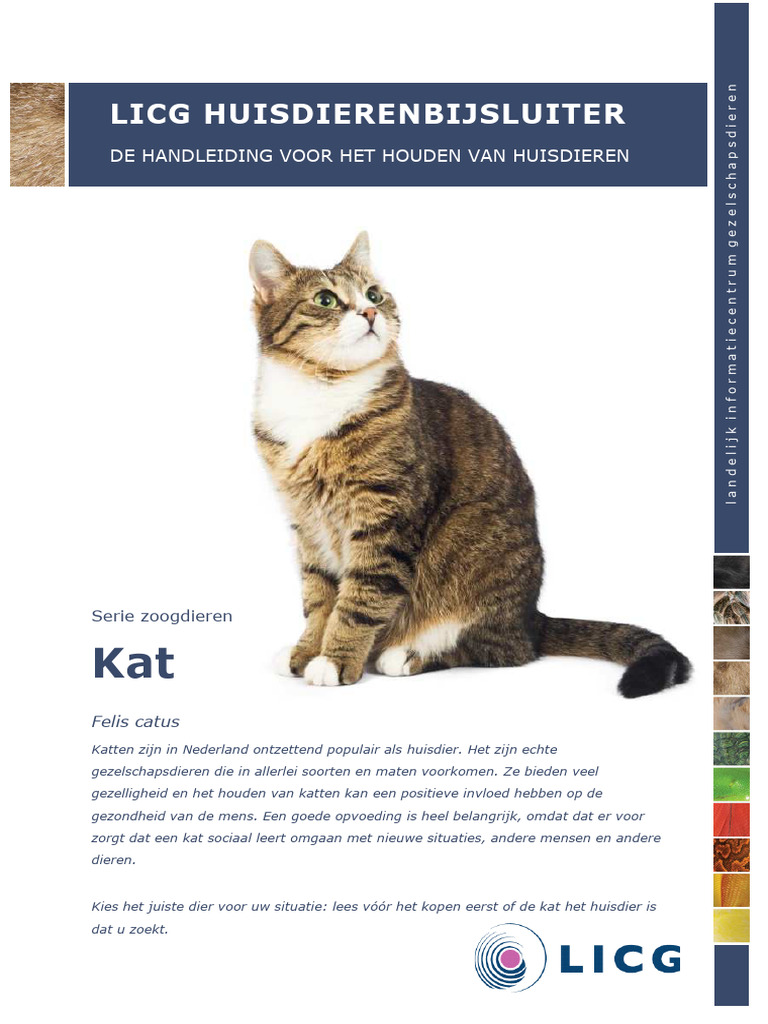 Kat Bijsluiter Over Katten Voor Katten Ofzo | PDF