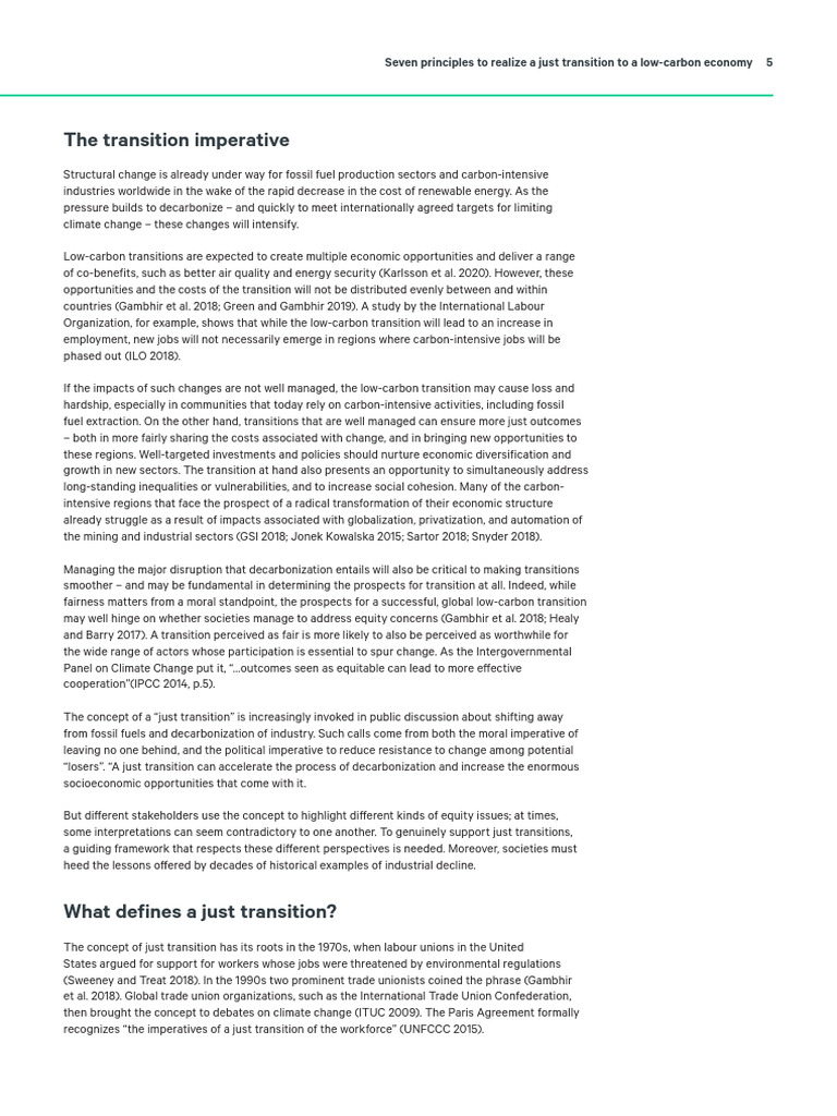 Seven Principles for Just Low-Carbon Transition | PDF | Climate Change ...