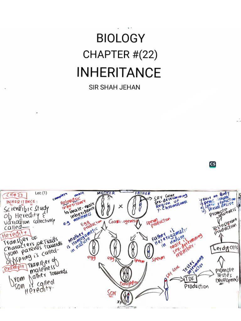 Biology Chapter (22) Inheritance | PDF