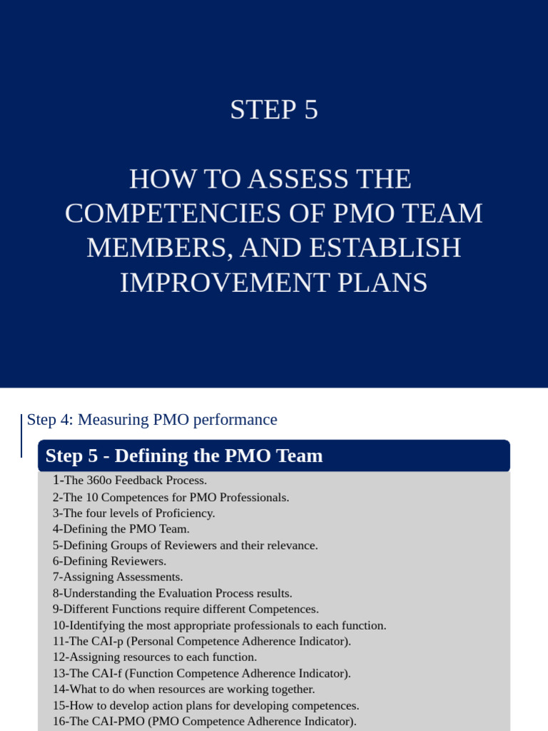 Assessing PMO Team Competencies | PDF | Full Time Equivalent | Business