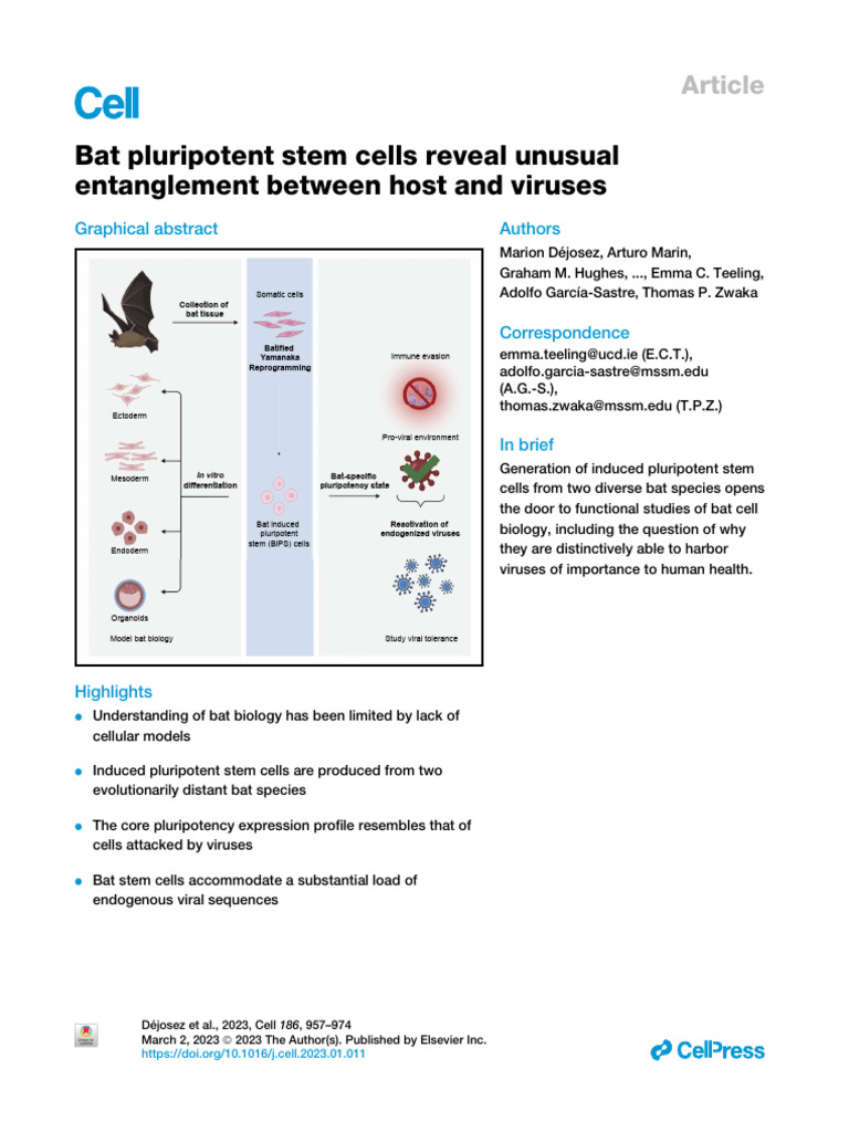 Déjosez Et Al. - 2023 - Bat Pluripotent Stem Cells Reveal Unusual ...