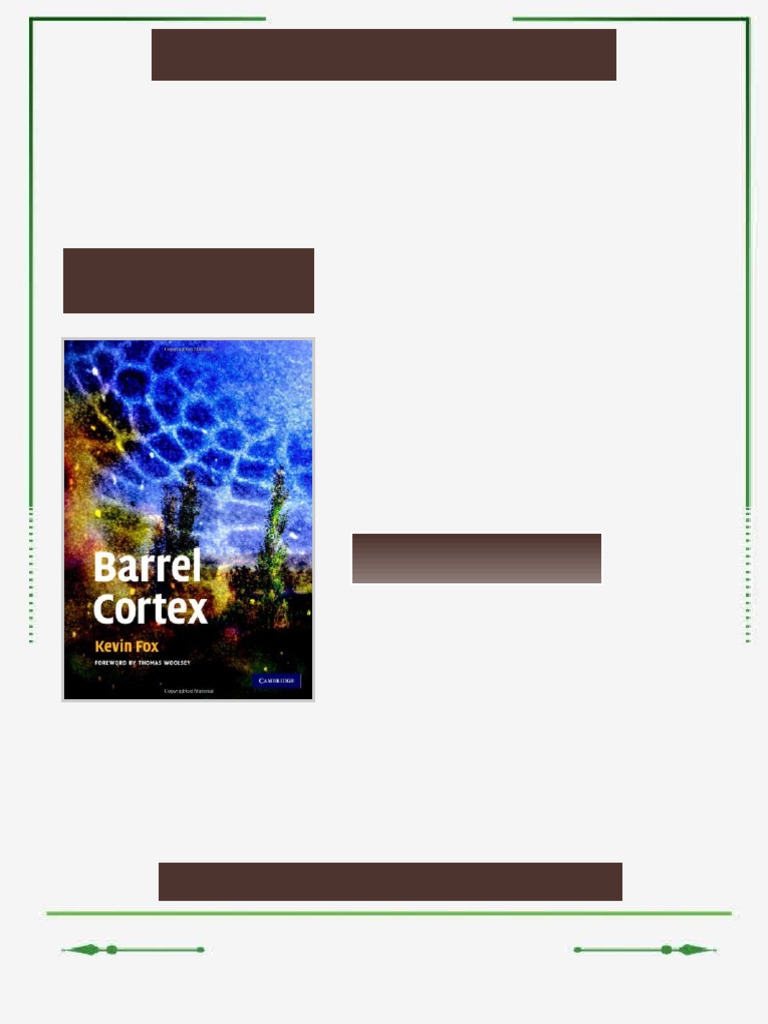 Barrel Cortex 1st Edition Kevin Fox ebook OCR-enabled pdf | PDF ...