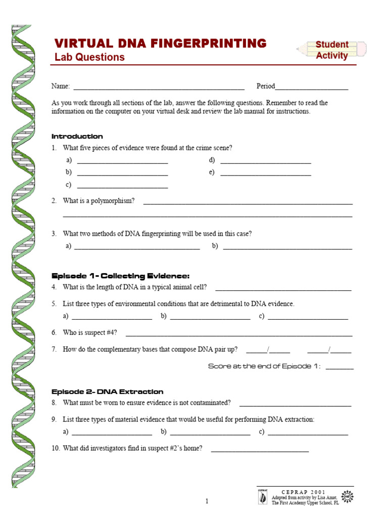 Virtual DNA Fingerprinting Lab Quiz | PDF | Gel Electrophoresis | Dna Profiling