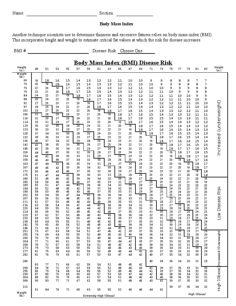 BMI Assignment | PDF | Body Mass Index | Human Weight