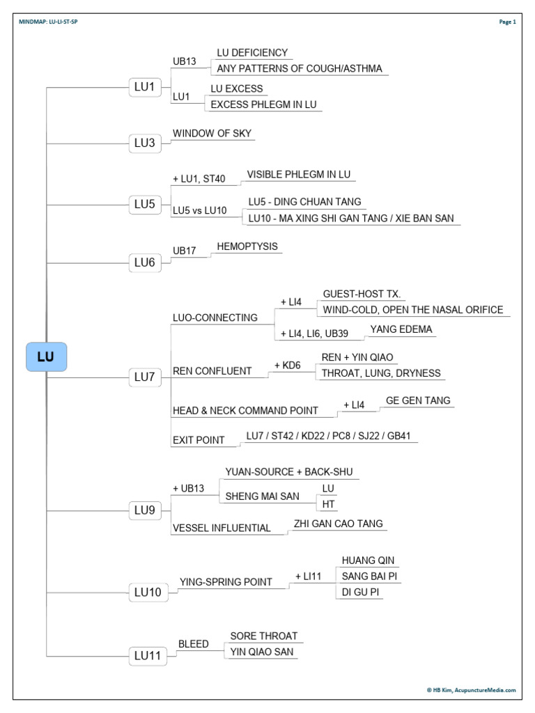 A Mindmap LU LI ST SP Hbkim W | PDF