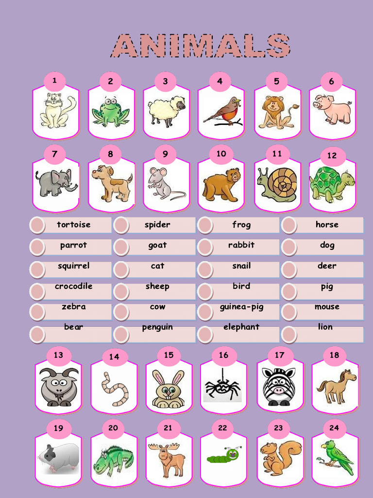 Animals Fun Activities Games 4942.PDF | PDF