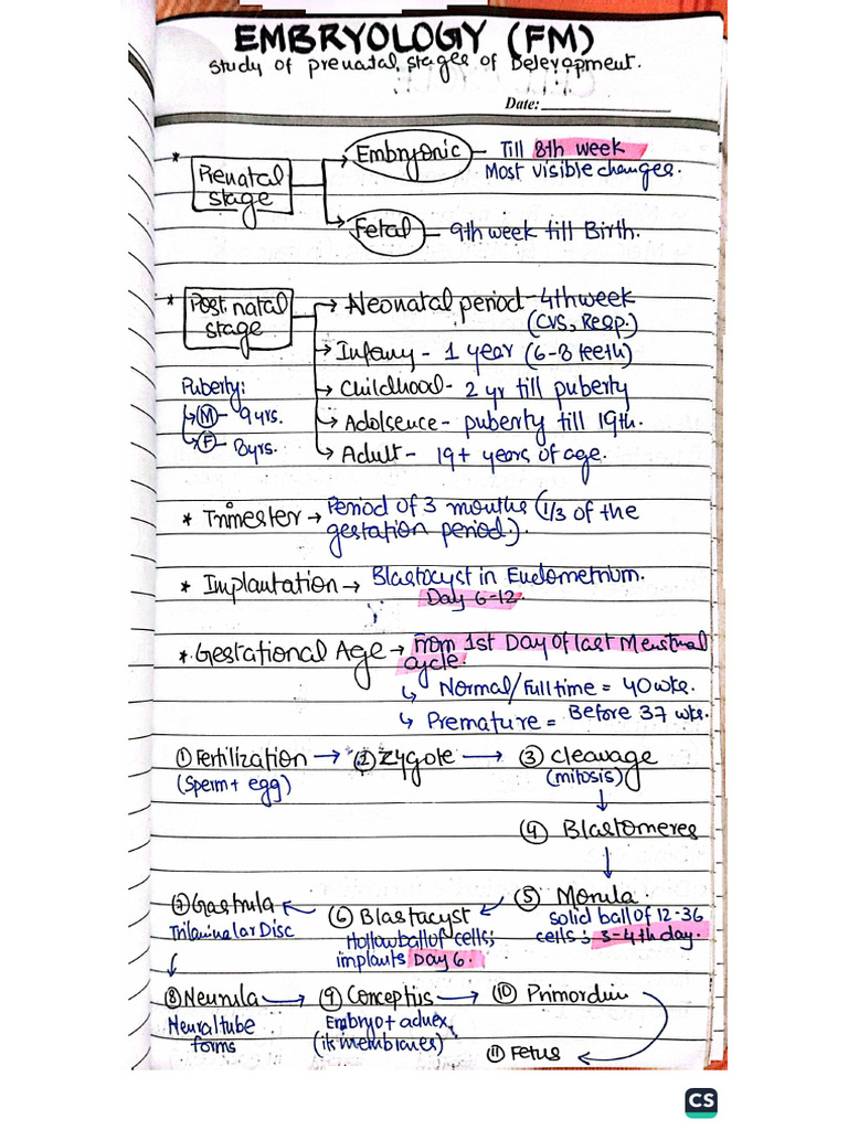FM-I Embryology Notes From KLM by Rohma Zubairi | PDF