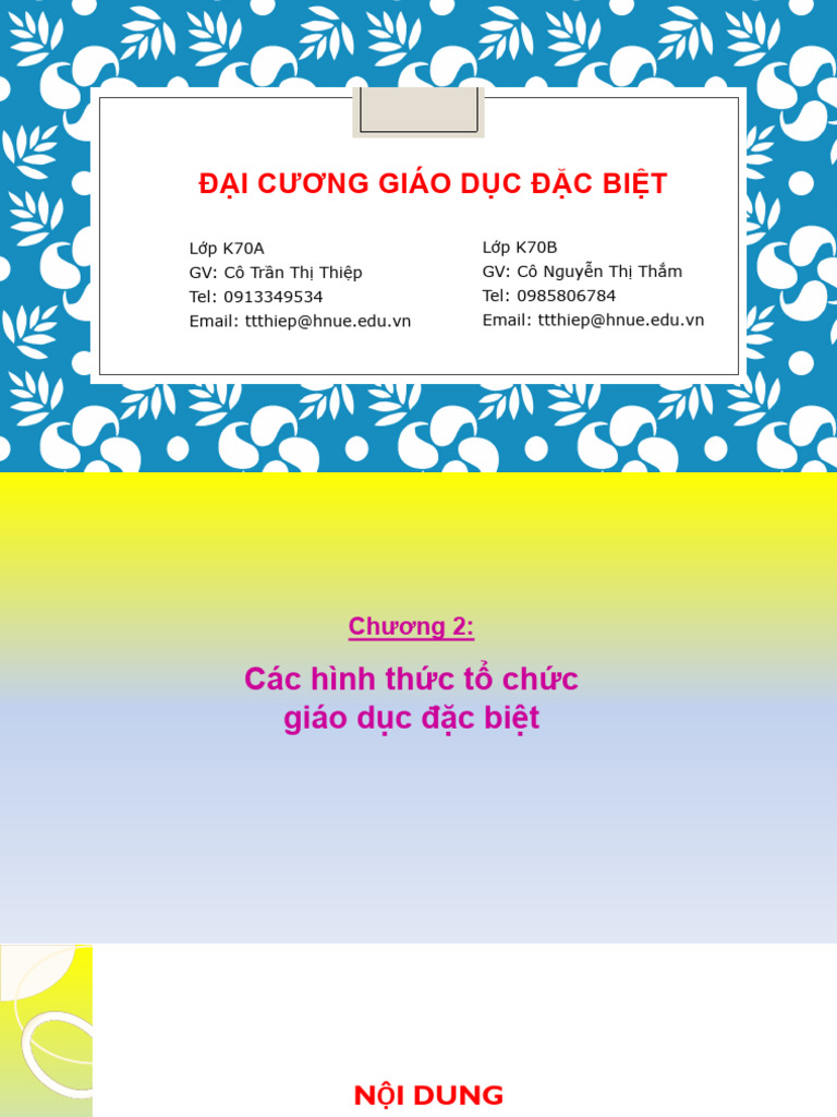 Chương 2. Các hình thức GDĐB | PDF