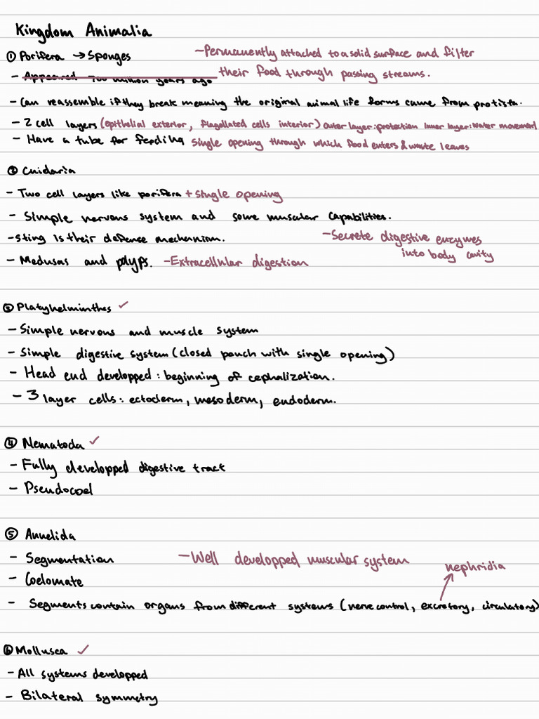 Kingdom Animalia Test Review Questions | PDF