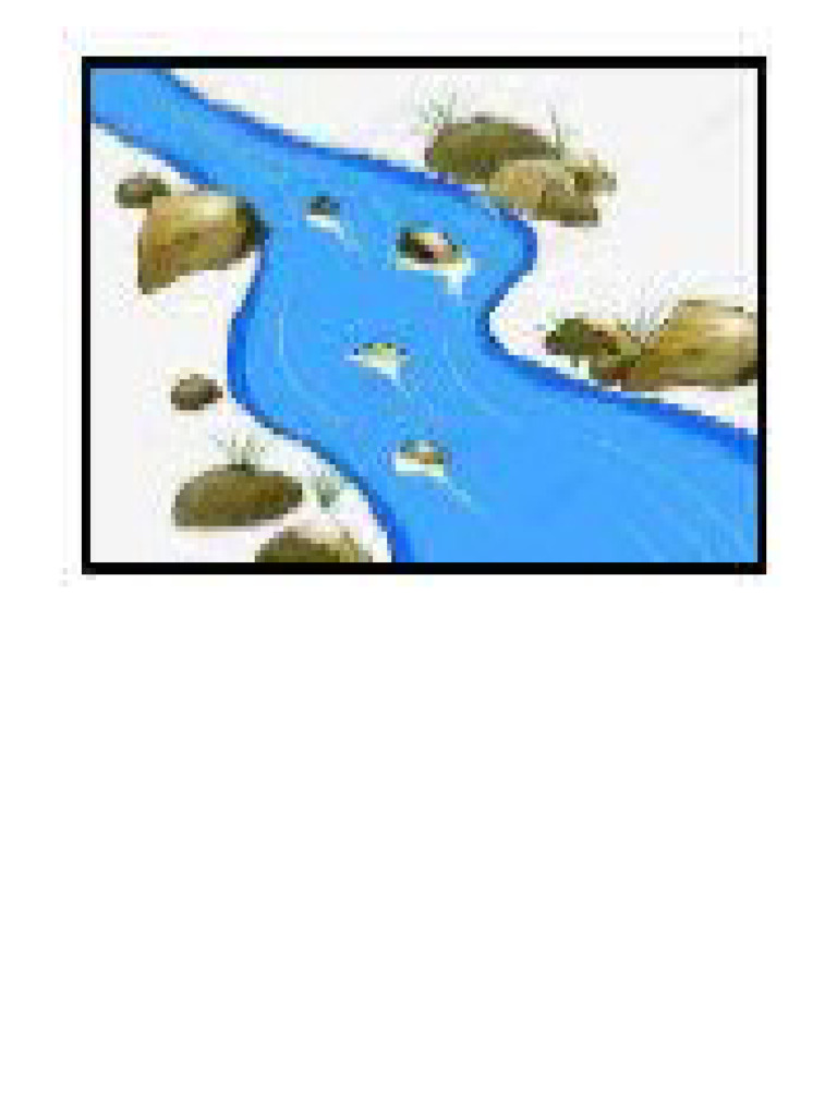Ile Ims For Demo Reclass | PDF