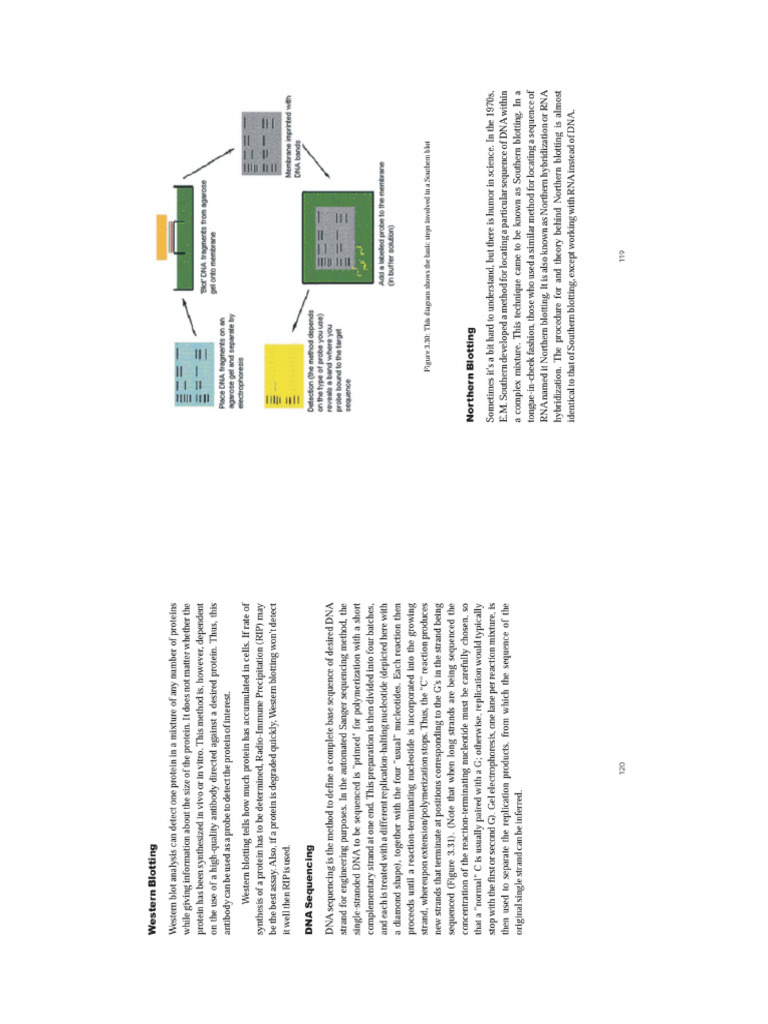 ps_doc_251225_1146 | PDF