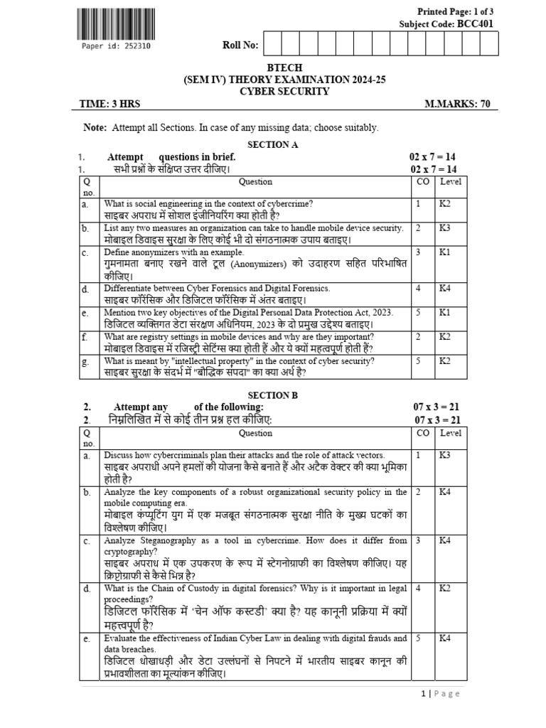 Bcc401 Cyber Security | PDF