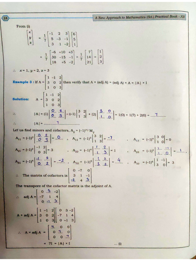 Maths Journal | PDF