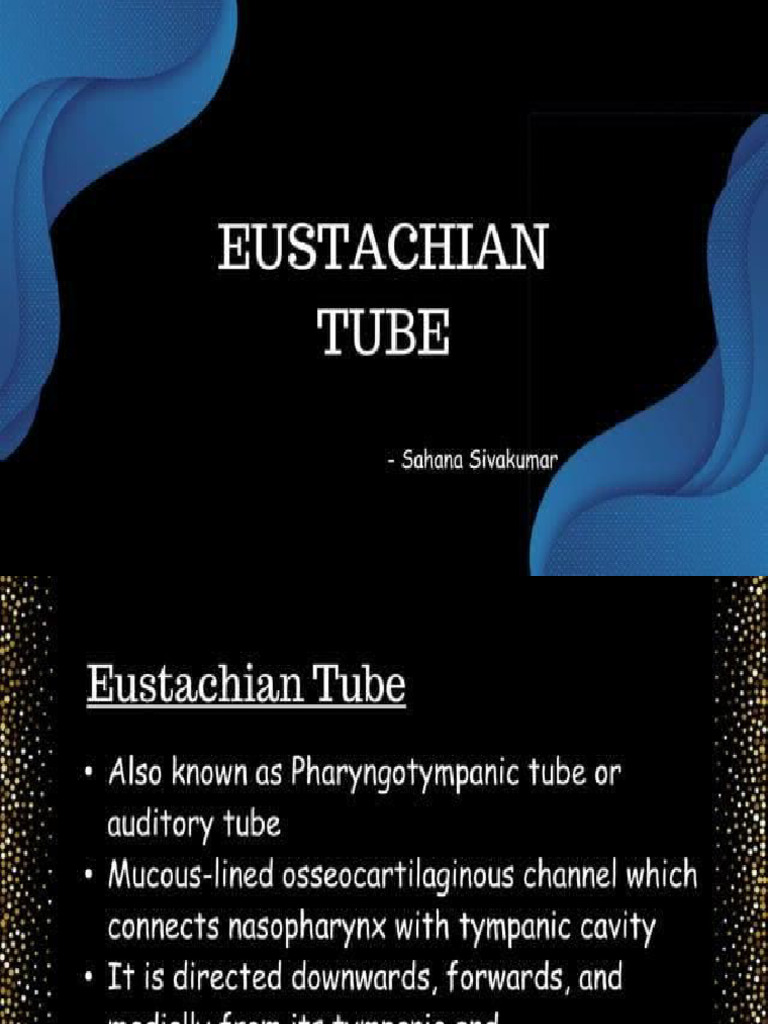 Auditory Tube | PDF