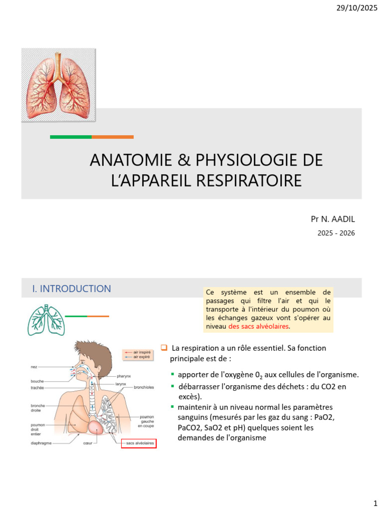Anatomie et physiologie respiratoire | PDF | Système respiratoire ...