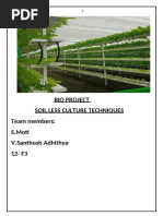 Sunlight's Impact on Plant Growth | PDF | Experiment | Botany