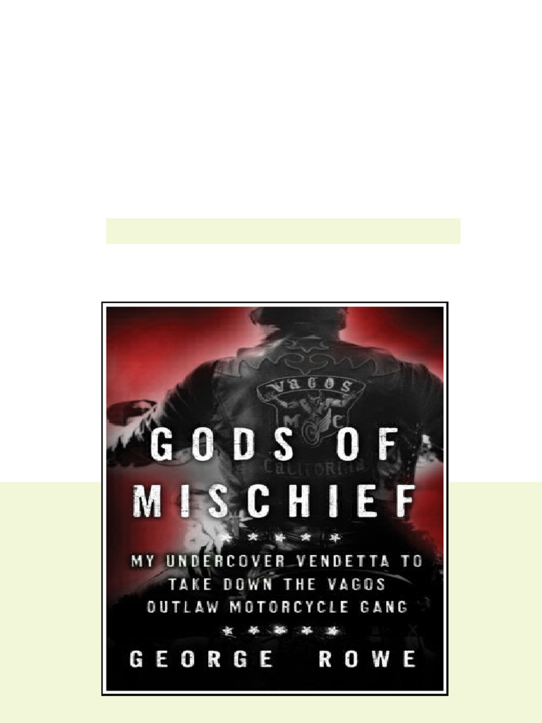 Gods Of Mischief My Undercover Vendetta To Take Down The Vagos Outlaw ...