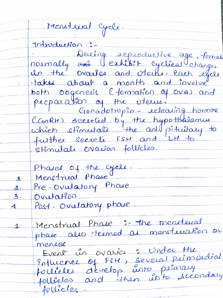Physiology Notes 251224 164256 | PDF | Reproductive System | Endocrine ...