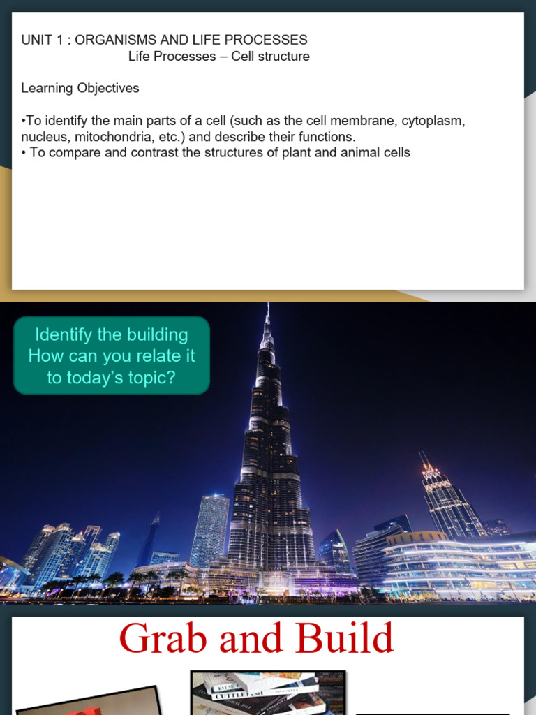 01a - Introduction To Cells | PDF
