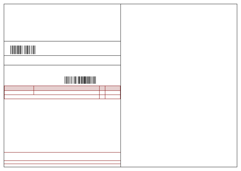 Courier Delivery Label for Order 2216216719 | PDF