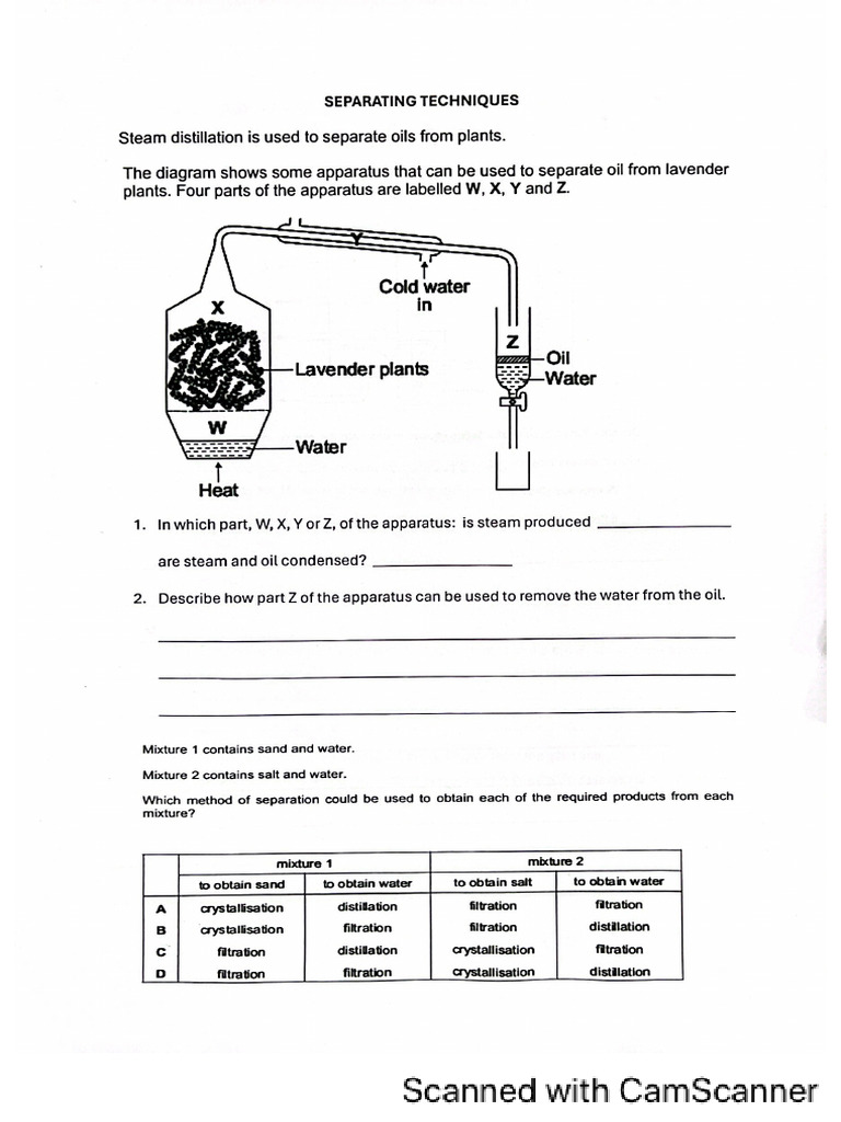 WS 8 | PDF
