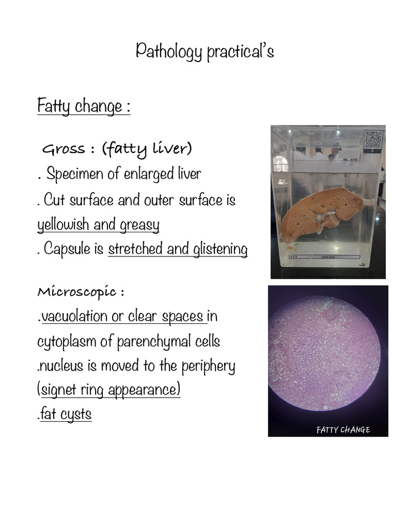 Pathology Changes: Gross & Microscopic Findings | PDF | Epithelium ...