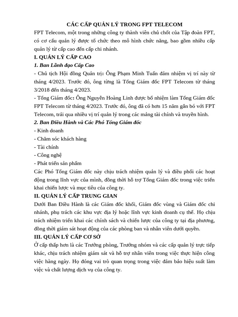 Các Cấp Quản Lý Trong Fpt Telecom | PDF