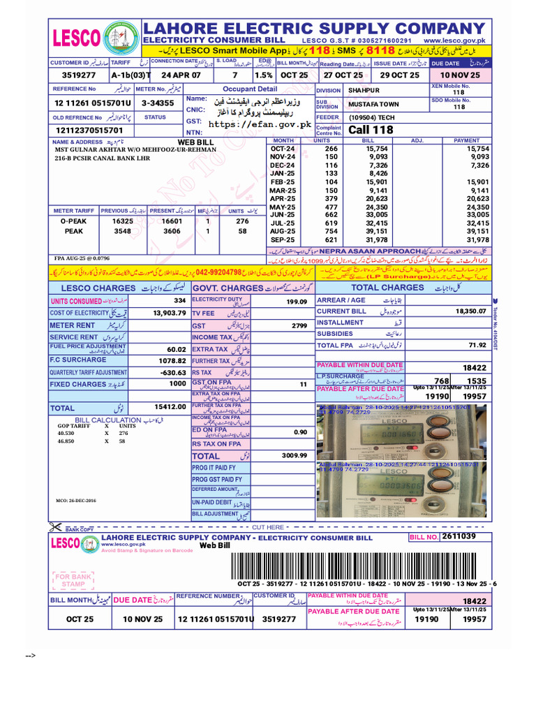 Lesco- Web Bill (1) | PDF