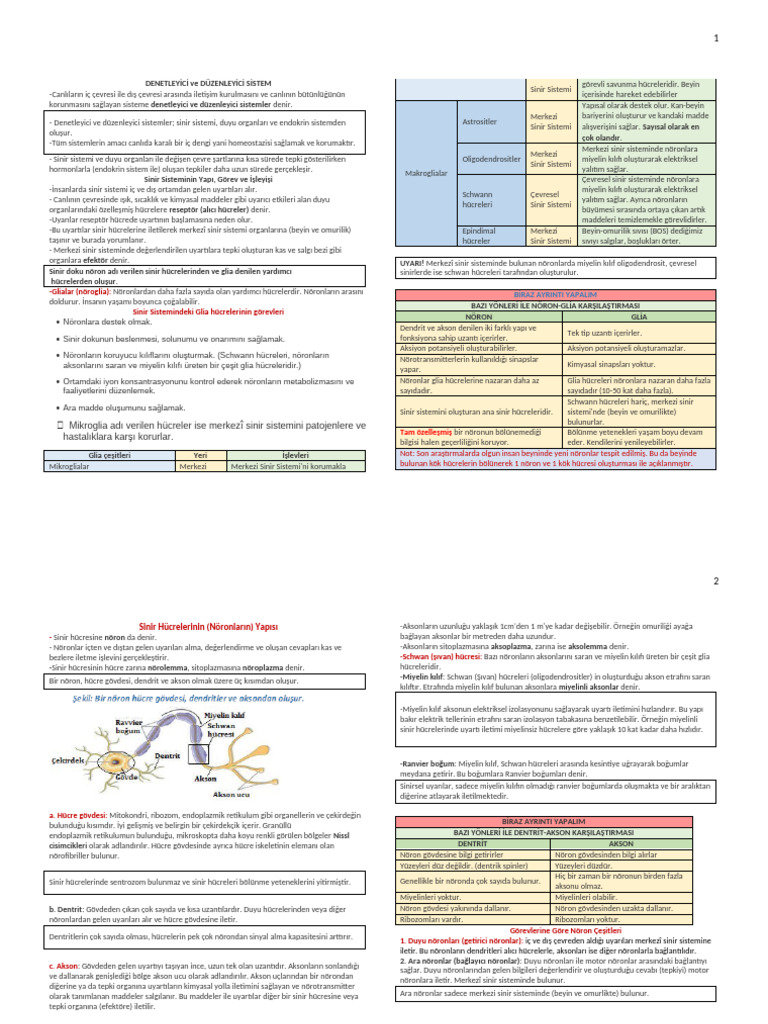 BiO - TYT- AYT Örnek Konu Anlatımı Derlemesi (11)(1) | PDF