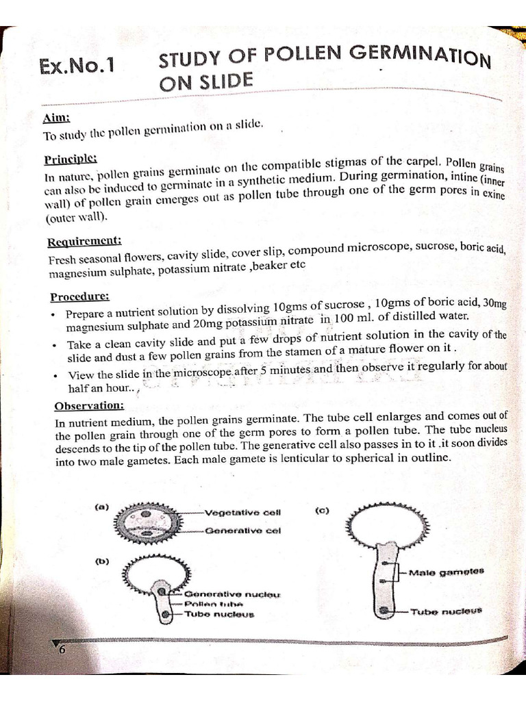Biology Lab Manual Class 12 (2) - Compressed | PDF
