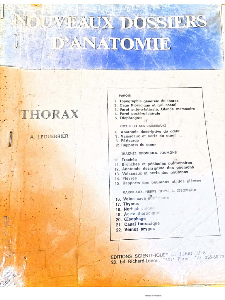 Anatomie Du Thorax | PDF