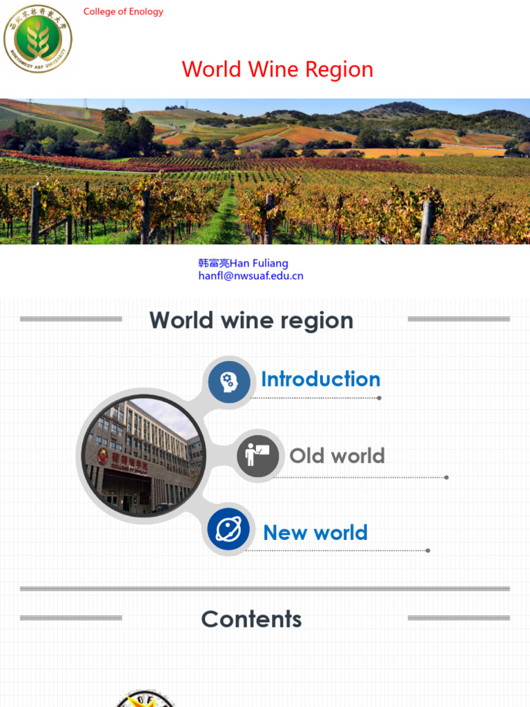 Overview of World Wine Regions | PDF | Wine | Champagne