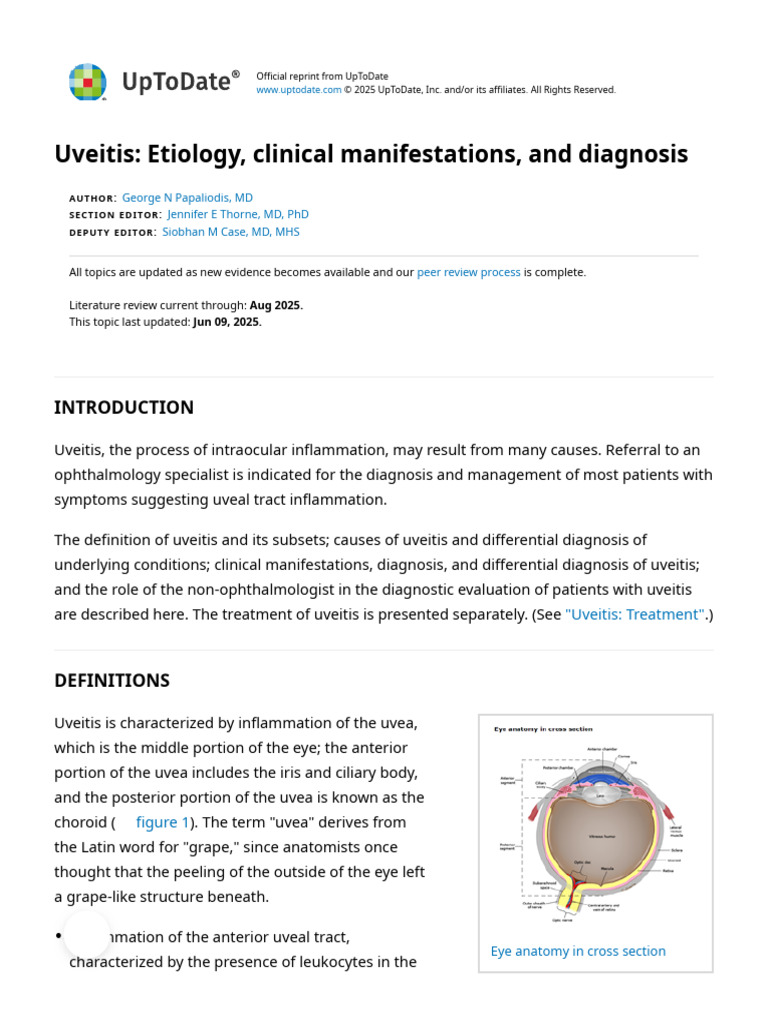 Uveitis: Causes, Symptoms, Diagnosis | PDF | Inflammatory Bowel Disease ...