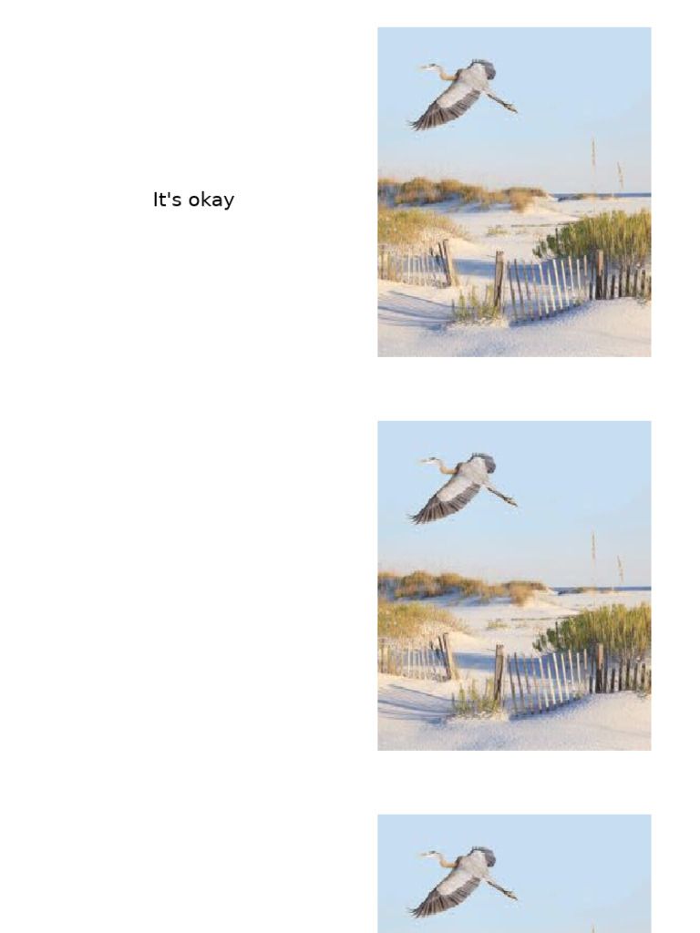 It's Okay | PDF
