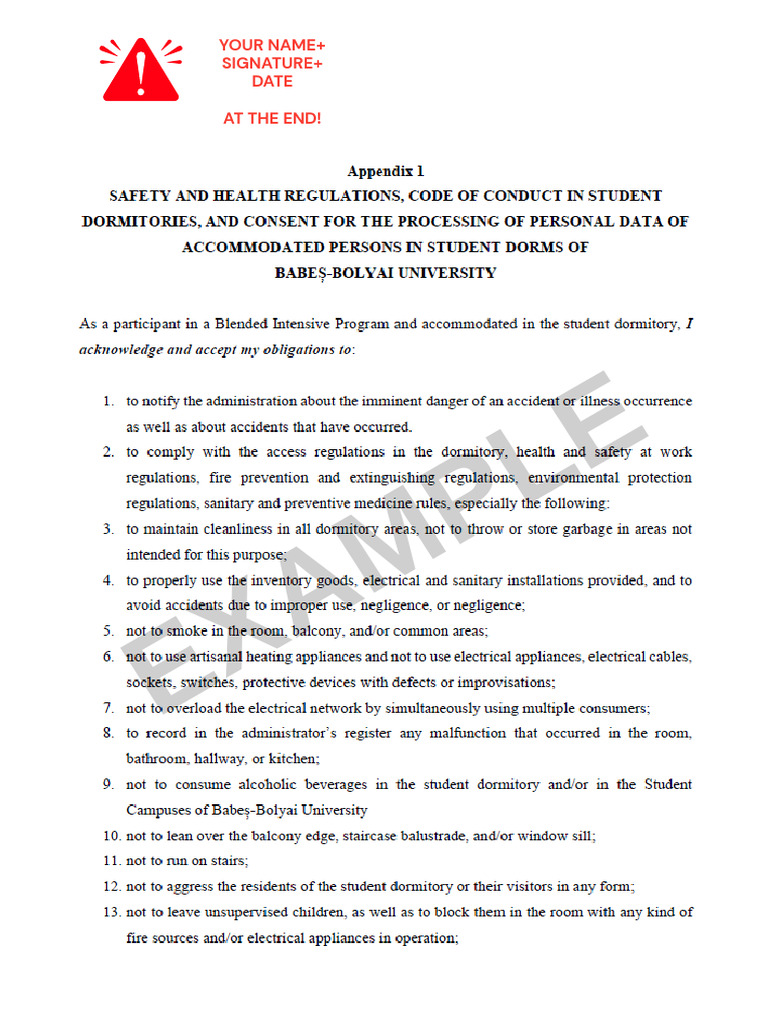 Safety Rules and Regulations Example | PDF