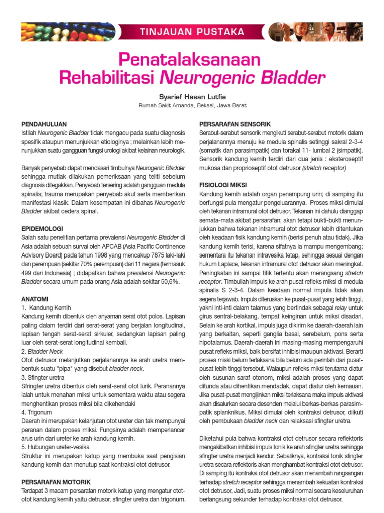 Neuro Neurogenic Bladder | PDF