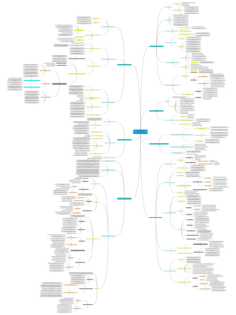 Mindmap LUẬT KINH DOANH - HẠ THUÝ NGÂN | PDF