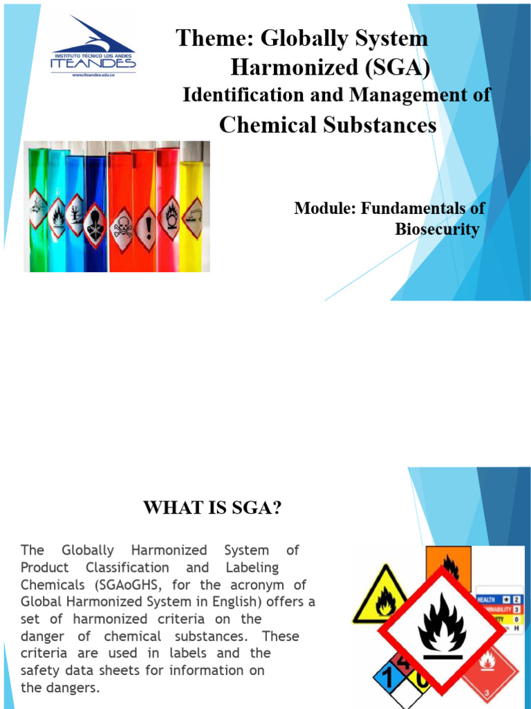 Globally Harmonized System (GHS) | PDF | Safety | Workplace