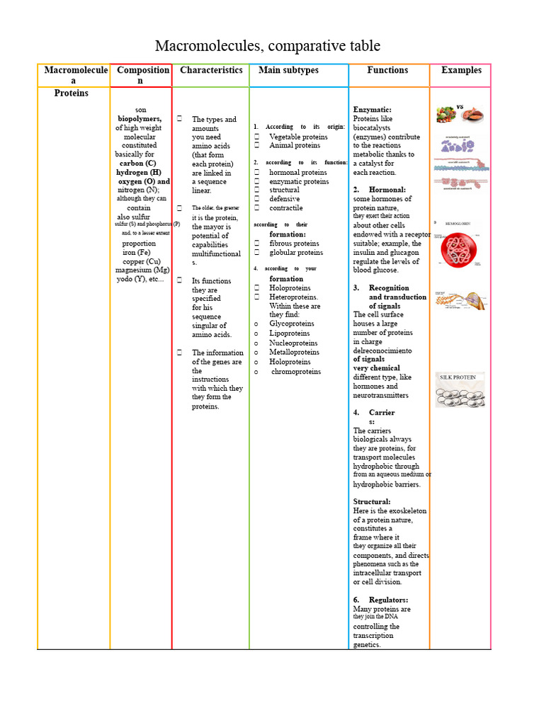 Comparative Table of Macromolecules | PDF | Nucleotides | Proteins