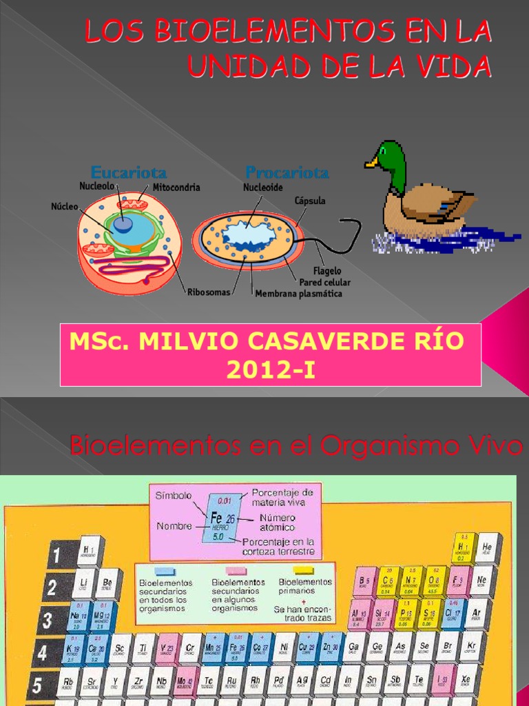 Bioelementos en Seres Vivos: Clasificación y Funciones | PDF ...