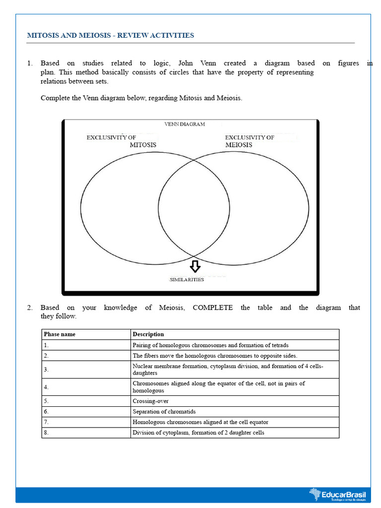 Meiosis and Mitosis Activity | PDF | Meiosis | Mitosis