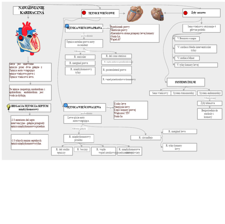 Mapa mental_Nawodnienie sercowe | PDF